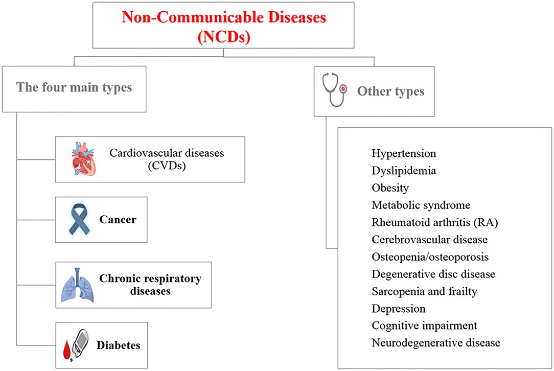 Non Communicable Diseases and Control | Bodmando Consulting Group
