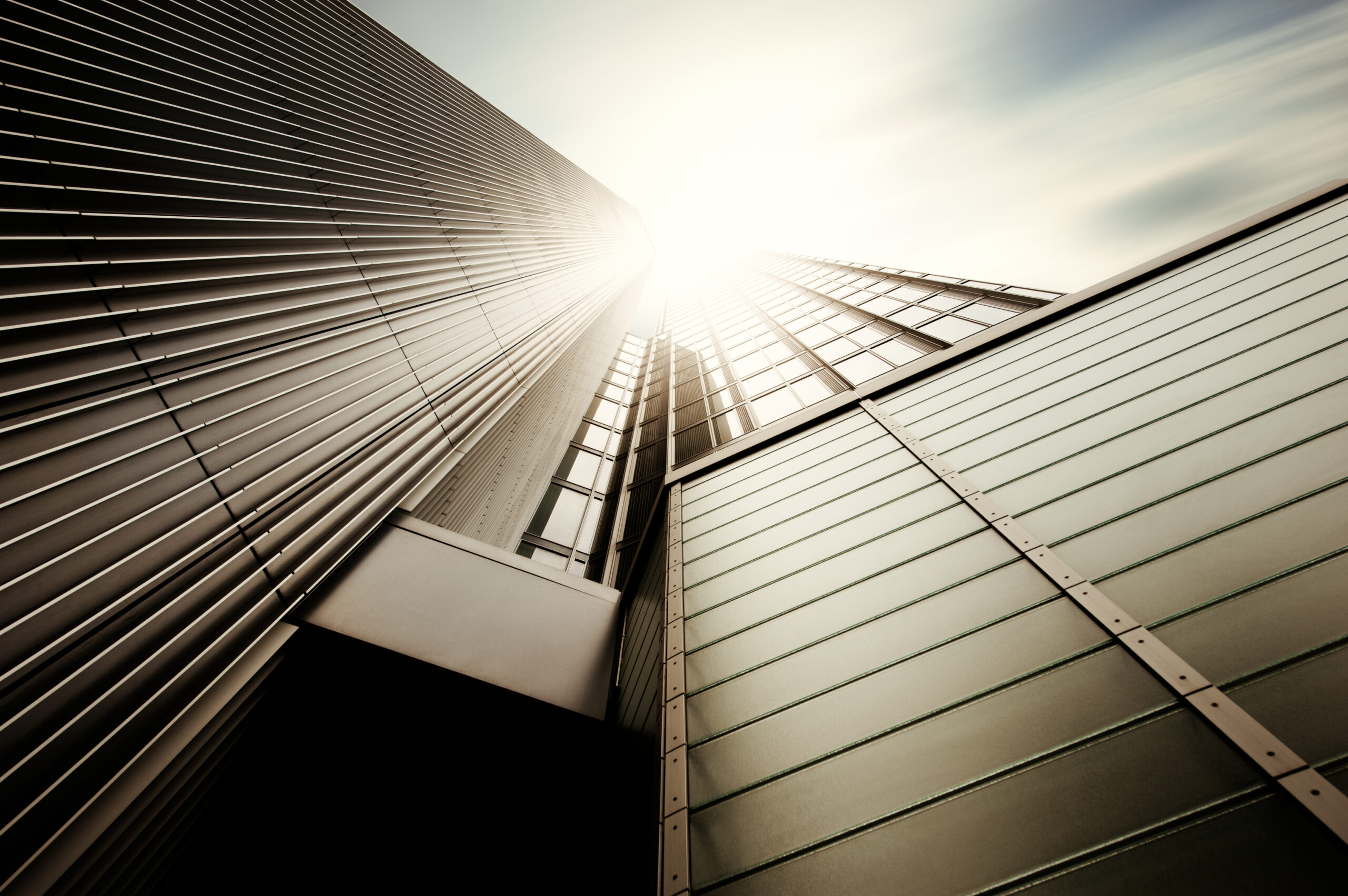 Institutional Strengthening | Bodmando Consulting Group